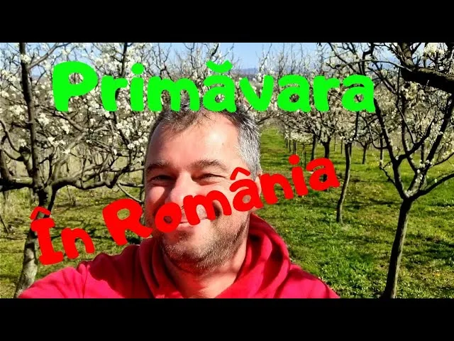 Europa – România - Ineu, Dealul Viilor - Marian Adventures